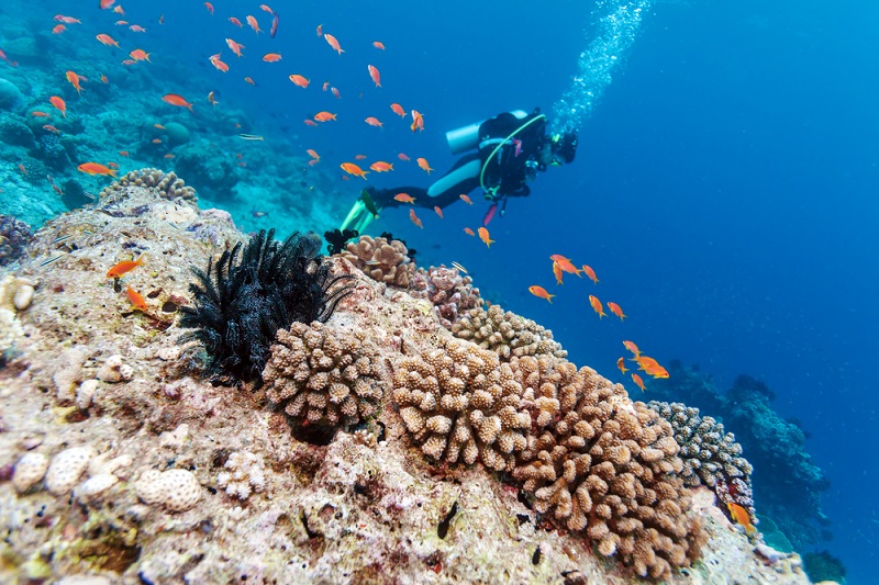 The World’s 10 Best Scuba Diving Locations - Extreme Sports X